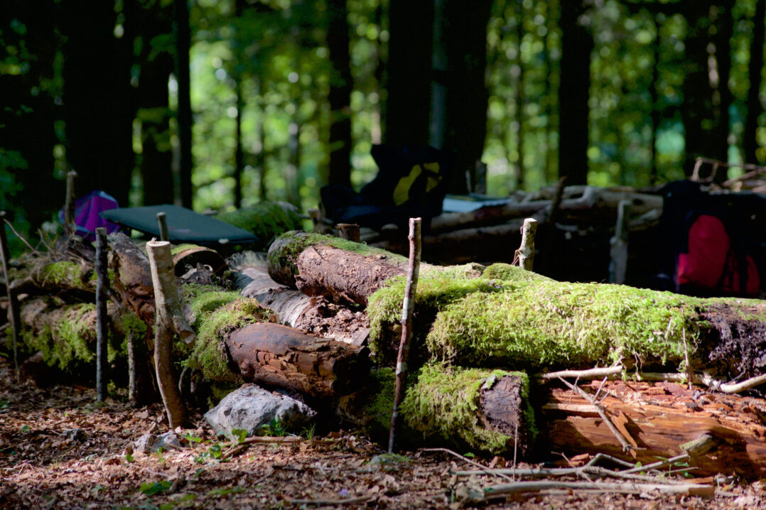 Hospitieren im Draussenunterricht | SILVIVA