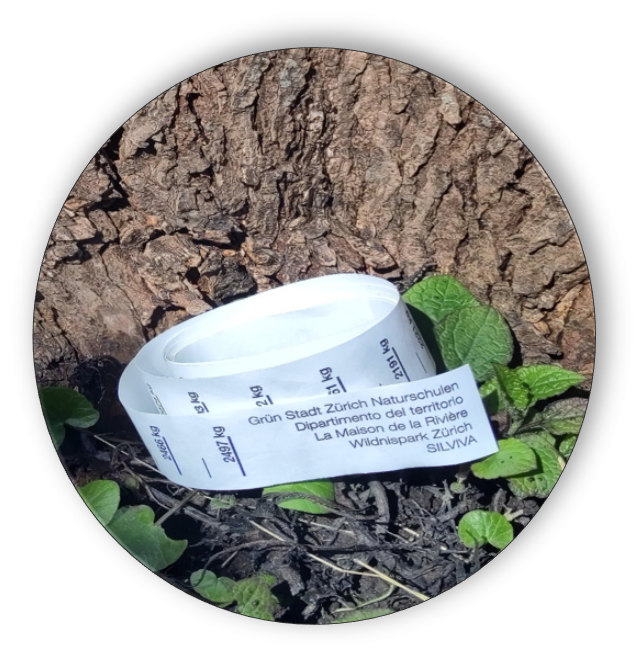 CO2-Messband | SILVIVA